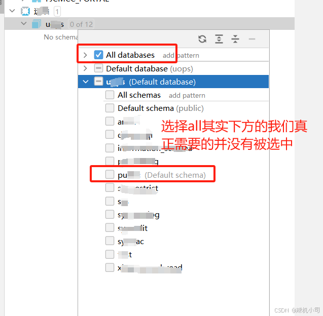 【踩坑记录：DBeaver，Datagrip连接达梦数据库（数据可查询）表不显示，解决方案】_dbeaver连接达梦数据库看不到表-CSDN博客