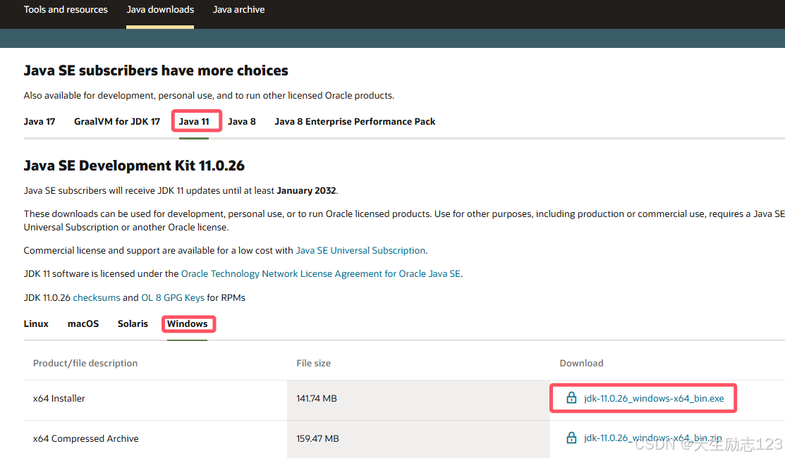 IDEA安装配置jdk11+maven 3.6.0+_idea 配置jdk11-CSDN博客