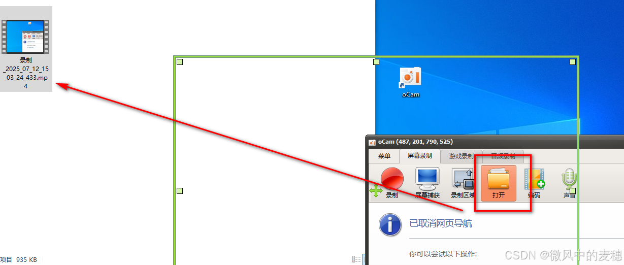 【实用工具强推】专业录屏神器oCam下载安装详细图文全攻略：高清录制+超低CPU占用！-CSDN博客