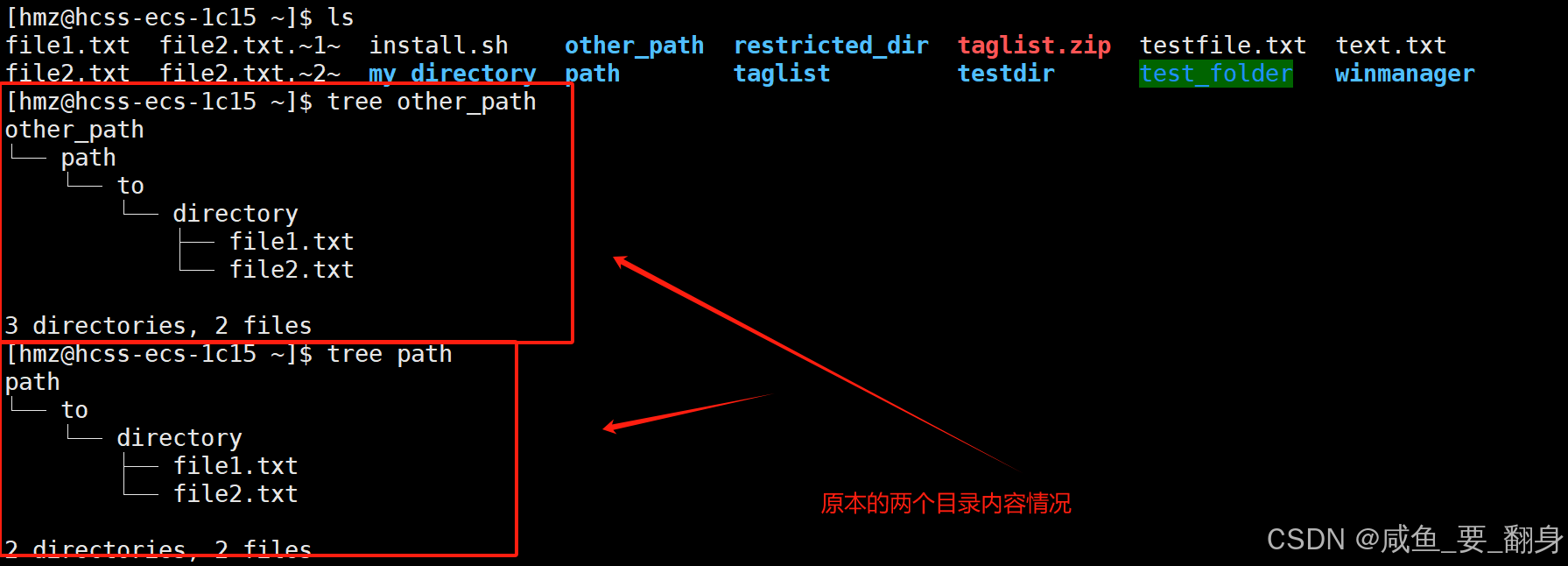 Linux基本命令篇 —— cp命令_linux cp-CSDN博客