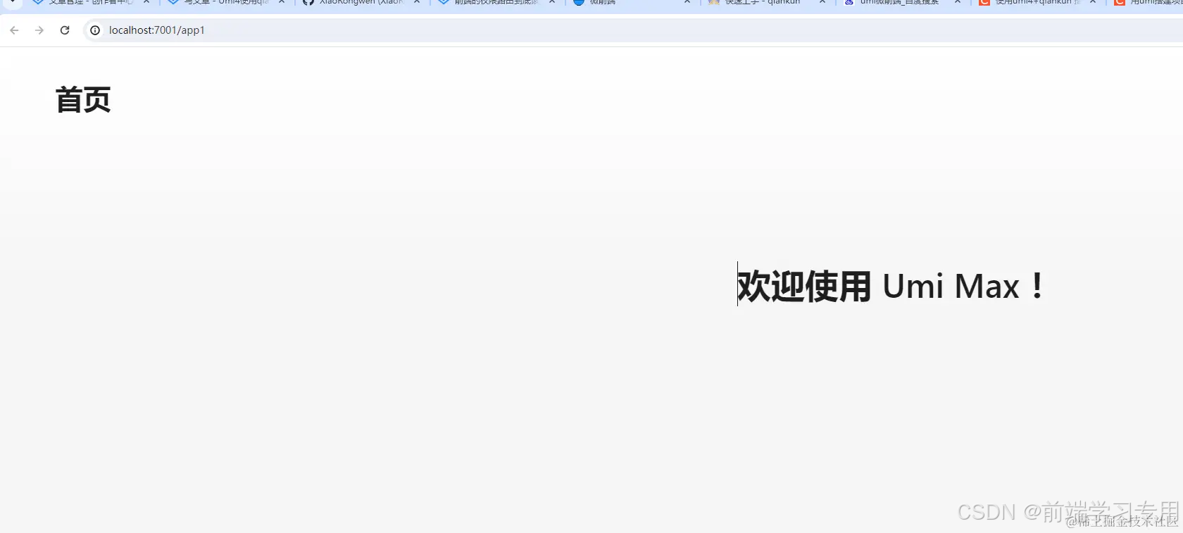 微前端umi+react+qiankun的创建及踩坑_umi qiankun-CSDN博客