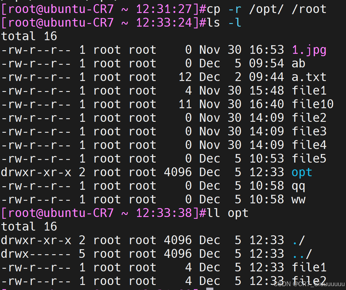 C11013作业 2024-12-05-CSDN博客