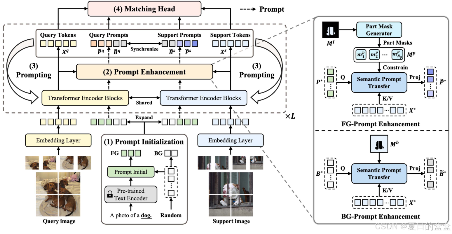 《Prompt-and-Transfer: Dynamic Class-Aware Enhancement for Few-Shot Segmentation》TPAMI2024-CSDN博客