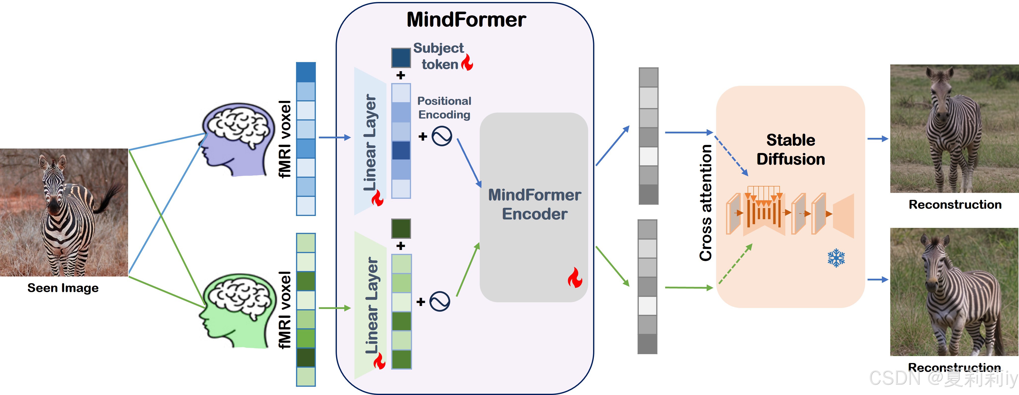 [arXiv 2024]MindFormer: Semantic Alignment of Multi-Subject fMRI for Brain Decoding-CSDN博客