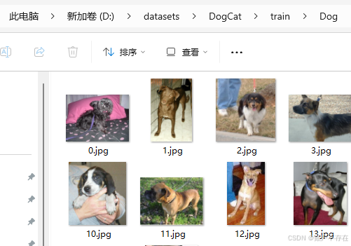 15种常用的深度学习图像分类模型训练猫狗数据集（教程源码）猫狗图像数据集 Csdn博客