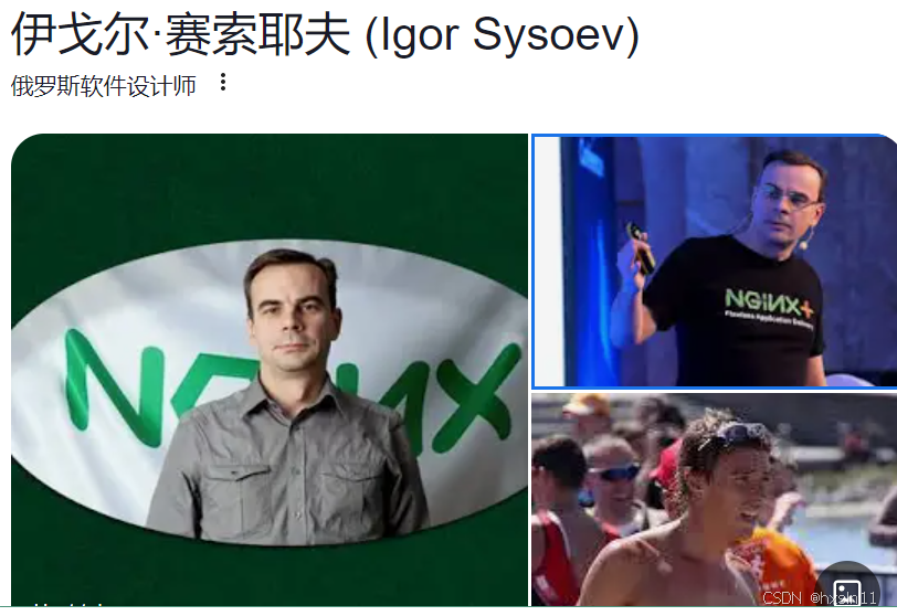 Nginx 是开源的 是哪个作者写的啊_nginx作者-CSDN博客