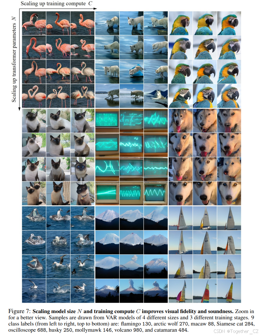 Visual Autoregressive Modeling: Scalable ImageGeneration via Next-Scale Prediction——视觉自回归建模 ...