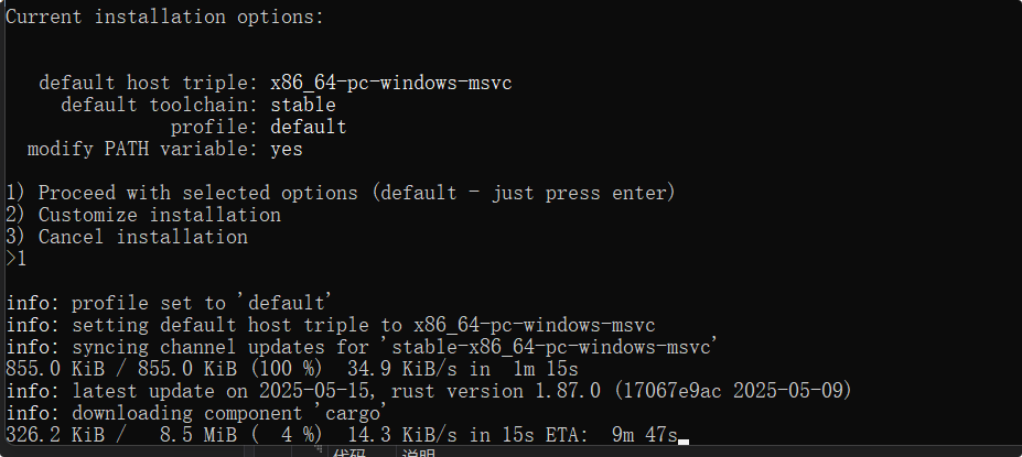 windows下rust开发环境搭建_windows rust-CSDN博客