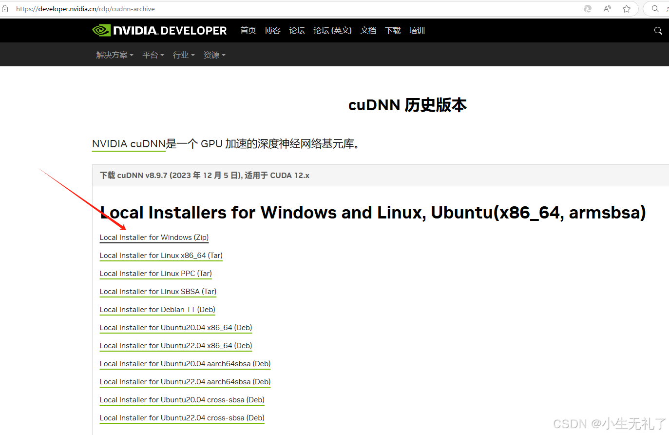 2025最新最全Cuda安装，深度学习环境配置（已踩太多坑）Win10+VS2019+Cuda11.0+Cudnn8.9.7+python3 ...