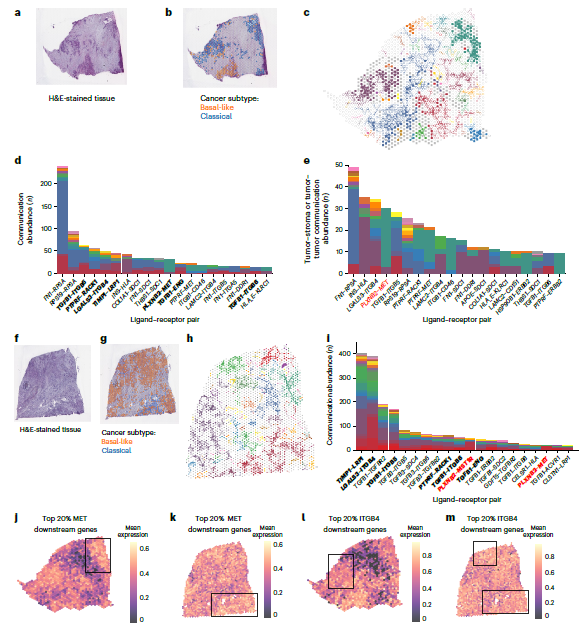 Nature Methods | CellNEST——利用注意力机制解析空间转录组中的细胞间中继网络_cellnest代码-CSDN博客