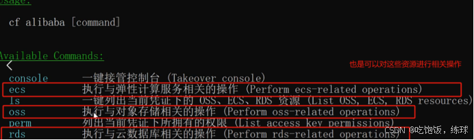 DAY65WEB 攻防-JS 应用&安全案例&泄漏云配置&接口调试&代码逻辑&框架漏洞自检_findsomething-CSDN博客