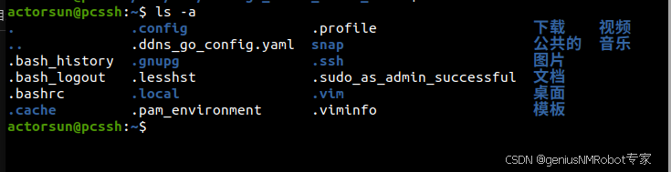 ddns-go默认配置文件位置---ubuntu_ddnsgo配置文件在哪?-CSDN博客