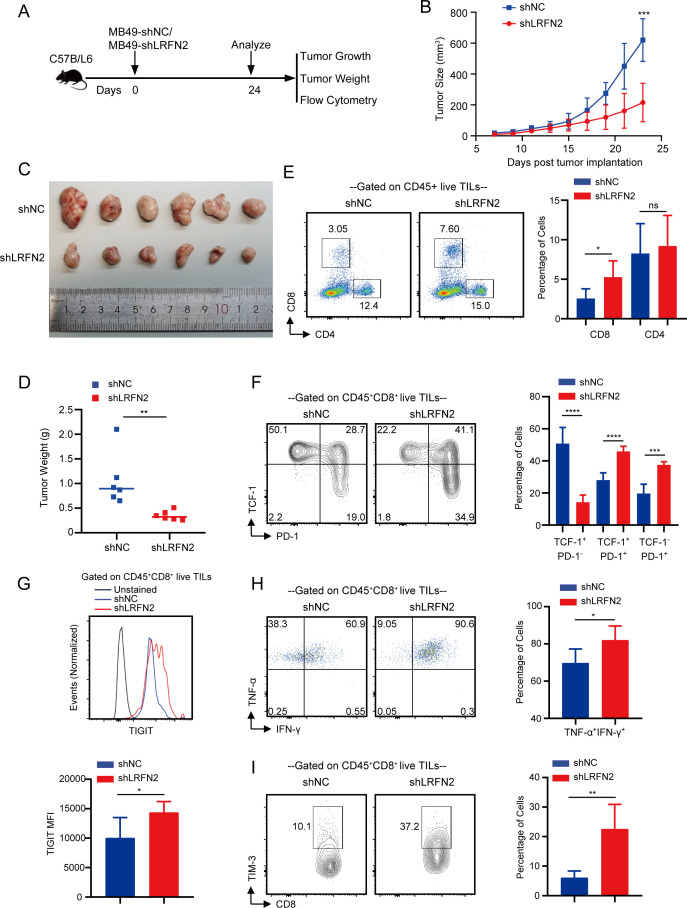 AbMole详解：PMA（佛波酯）在激活T细胞、诱导细胞分化、构建炎症模型上的应用_pma和离子霉素诱导aicd-CSDN博客