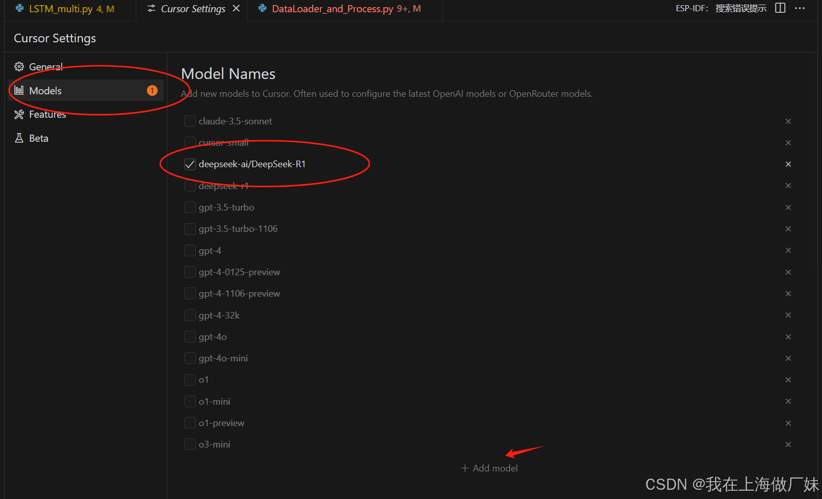 【详细】硅基流动+deepseekapi+cursor教程_cursor 硅基流动-CSDN博客