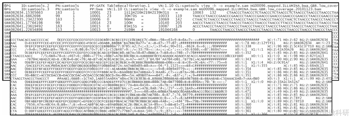 计算生物学与生物信息学漫谈-6-序列比对-BAM/SAM详解_序列比对sm和nm的区别-CSDN博客