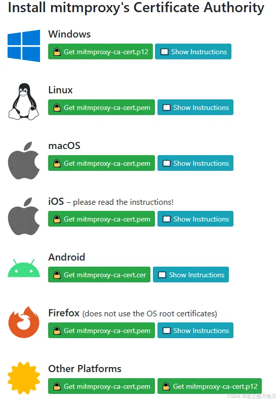 Python Mitmproxy 代理工具_mitmproxy 透明代理-CSDN博客