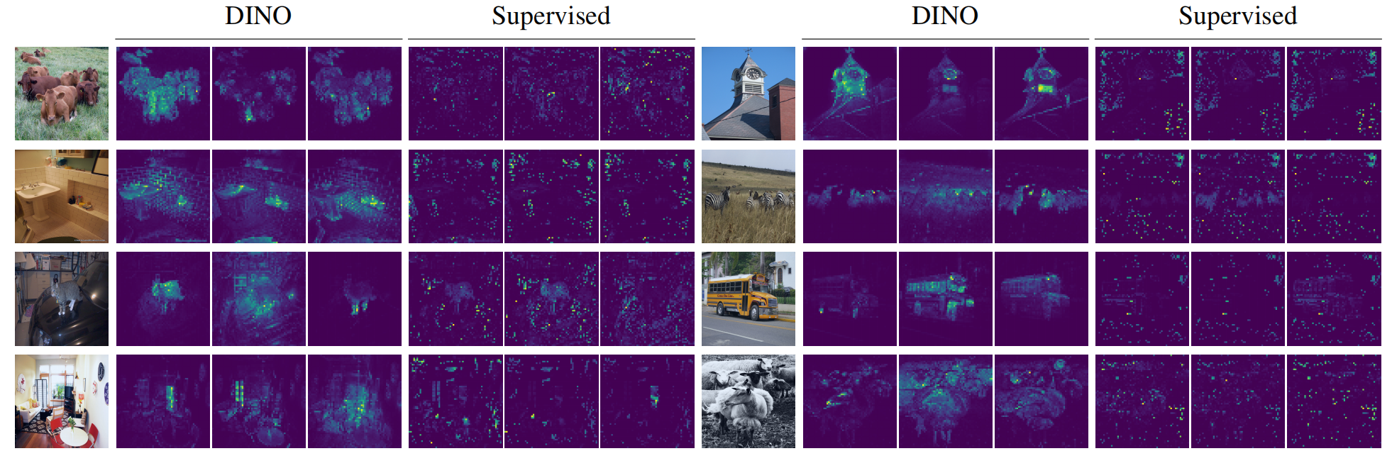 搞懂DINO-CSDN博客