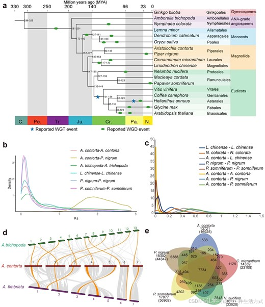 马兜铃染色体水平基因组--文献精读176-CSDN博客