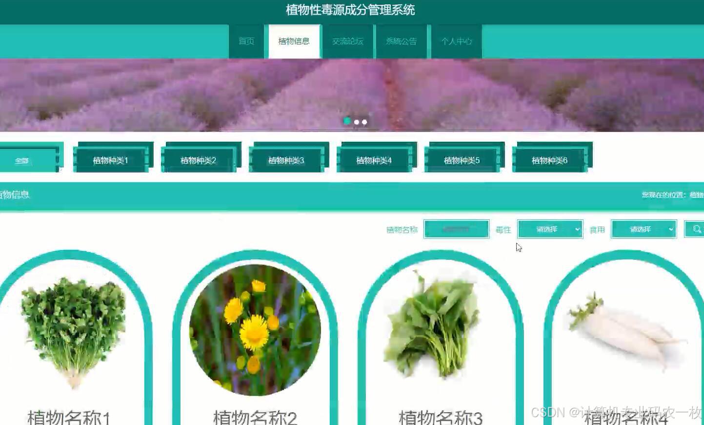 Springbootvuejava植物园信息管理系统 Csdn博客