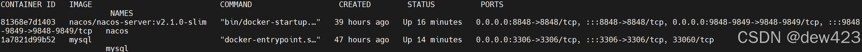 虚拟机Docker部署nacos_cannot resolve configuration property 'spring.clou-CSDN博客