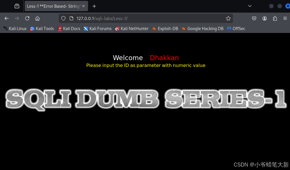 在kali下搭建sqli-labs靶场_kali安装sqli-labs-CSDN博客