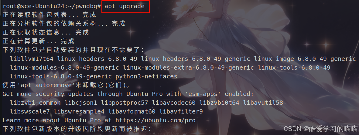 在Ubuntu里面如何正确安装pwndbg-CSDN博客