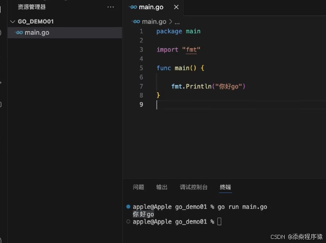 golang语言_mac系统搭建开发环境_VSCode开发go配置_定义变量_fmt包_print_printlan_printf_go语言注释---go语言工作笔记002_mac ...