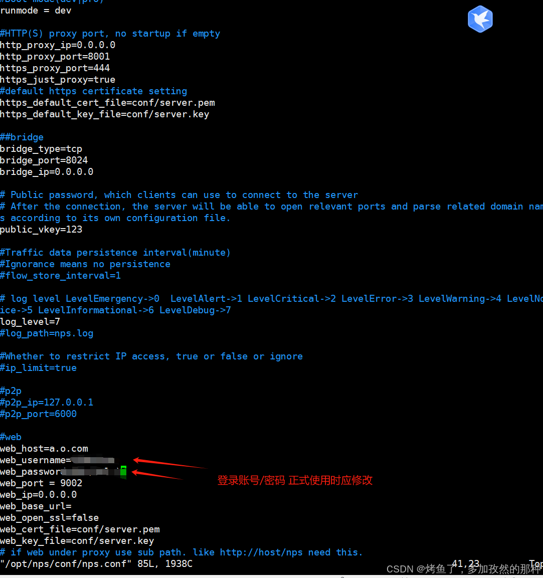 2024最新nps实现内网穿透_docker安装nps-CSDN博客