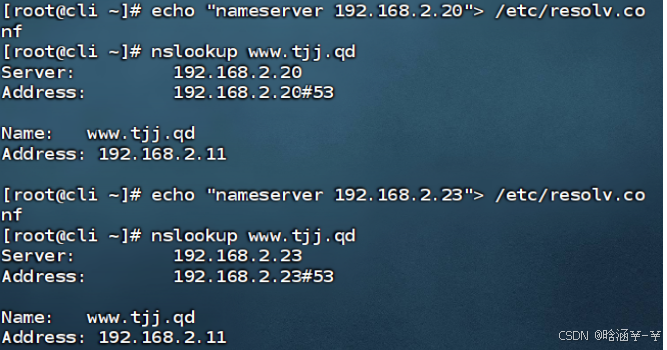 day13(7/24)——域名解析，主从分离-CSDN博客