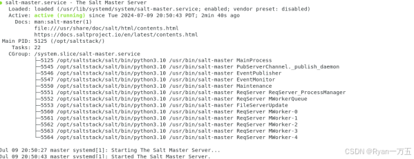 自动化运维工具saltstack学习过程分享（仅入门）_saltstack教程-CSDN博客