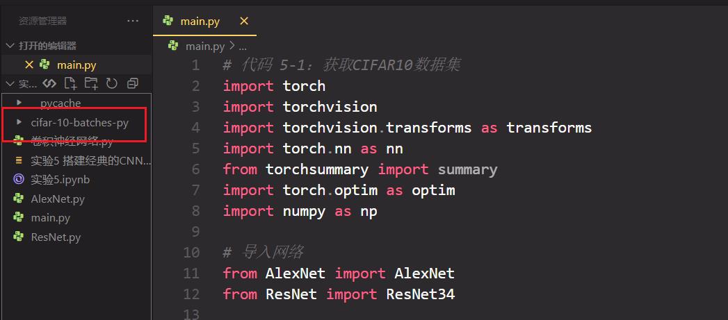 RuntimeError: Dataset not found or corrupted. You can use download=True ...
