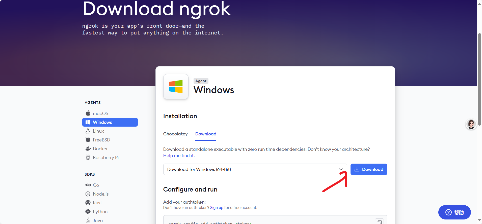 Ngrok内网穿透教程-CSDN博客