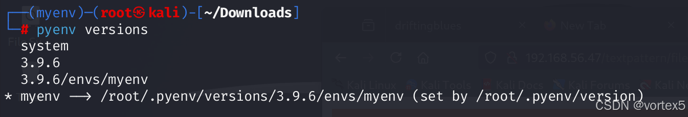 Kali Linux配置多版本python环境：使用pyenv实现环境隔离与灵活切换_kali pyenv-CSDN博客