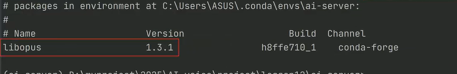 SDU棋界精灵——后端：opus编码依赖安装_conda install libopus -y-CSDN博客