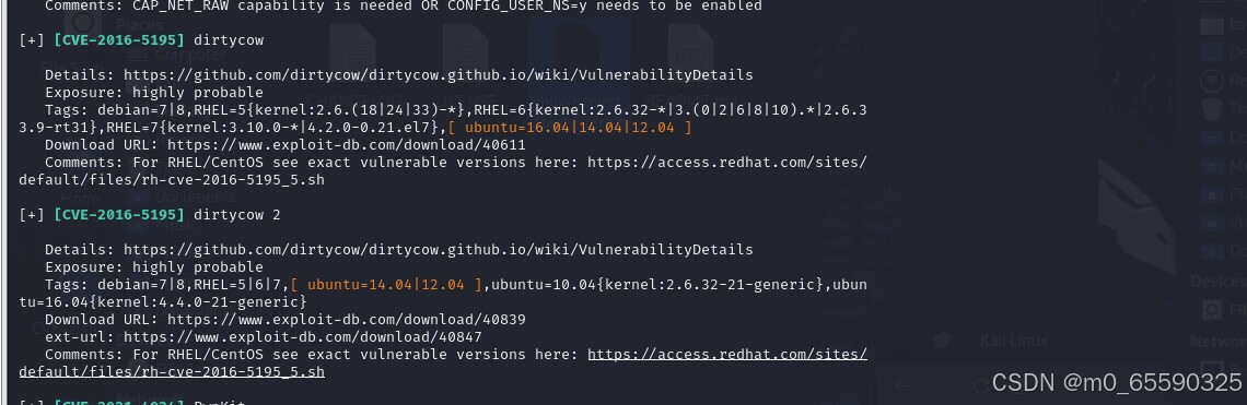 实训Day10 Linux提权_linux提权实验-CSDN博客