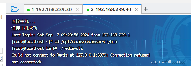 安装Redis_redis安装包-CSDN博客