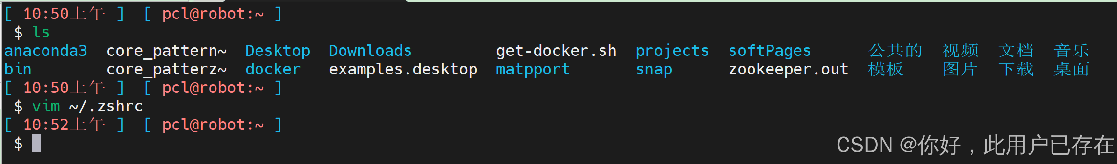 Zsh 安装与配置_zsh安装-CSDN博客