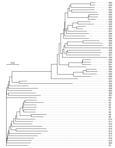 一个命令构建进化树：VCF2Dis+ggtree全流程解析_计算遗传距离建树 linux-CSDN博客