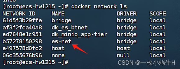 Docker安装Elasticsearch超详细图文附ES、IK压缩包_docker 安装es-CSDN博客