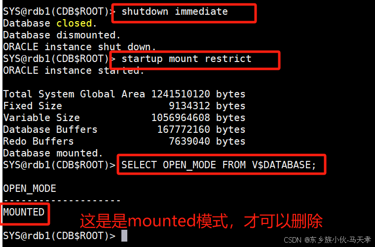 Linux Oracle19c删除容器数据库实例（cdb）oracle19c删除实例 Csdn博客
