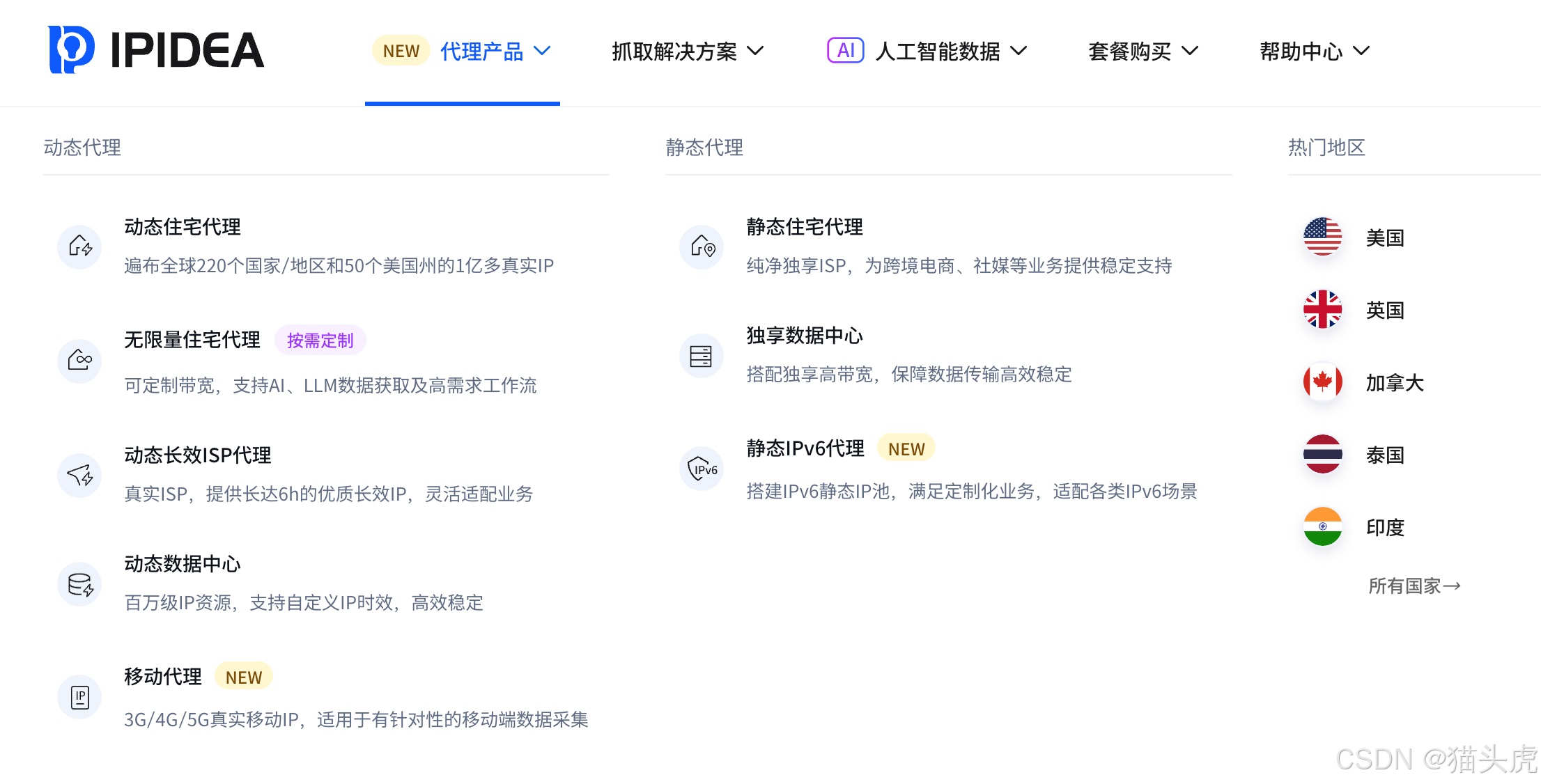 2025年最新海外代理IP服务商横向测评：国外代理IP服务商哪家好？_ipidea怎么样csdn-CSDN博客