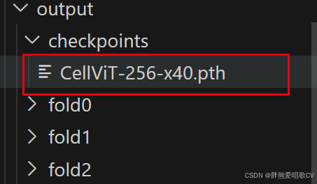 2024-9-27 CellVIT实验复现-CSDN博客