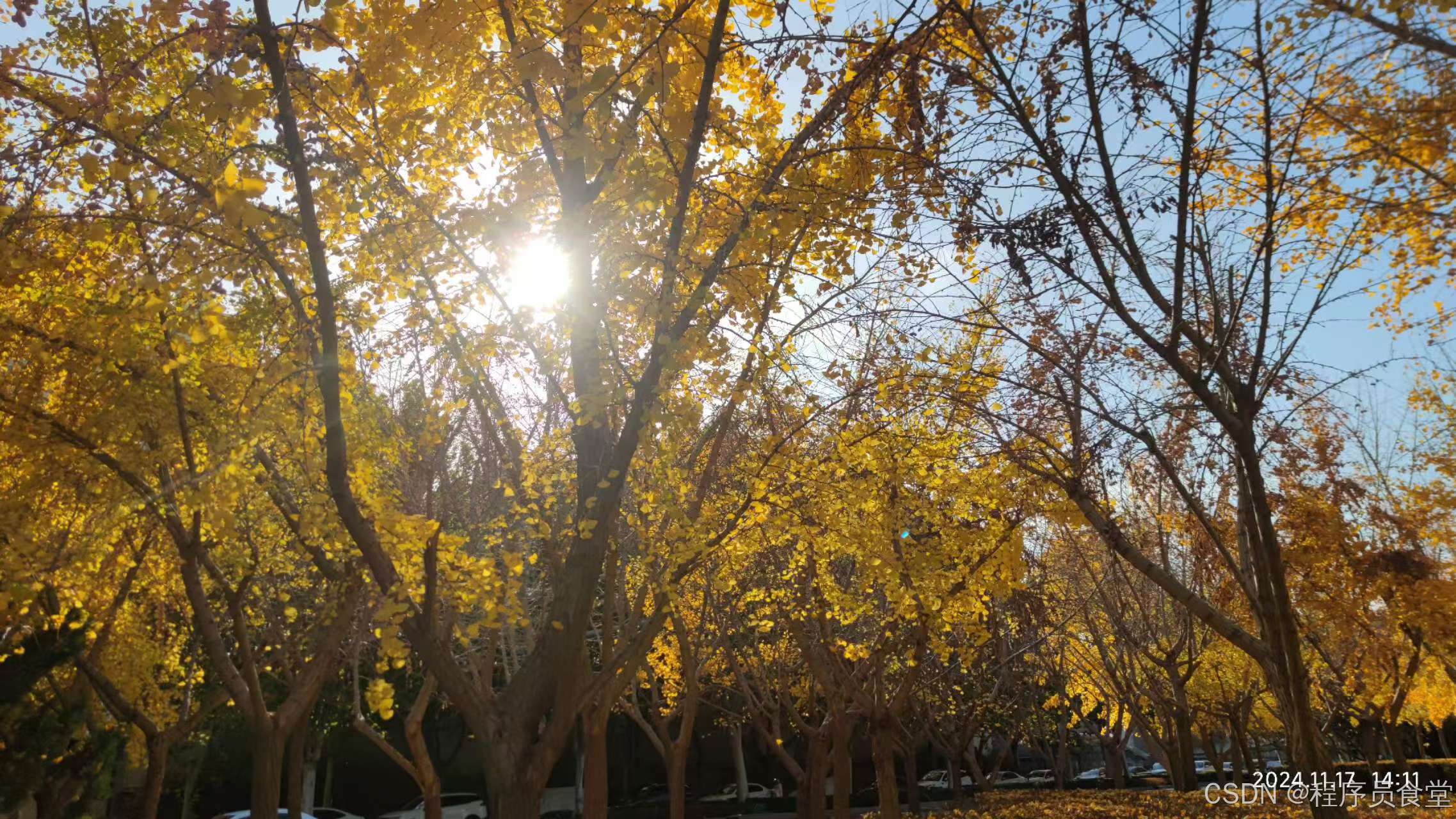 nacos2.4.3 Invalid server identity key or value, Please make sure set `nacos.core.auth.server ...