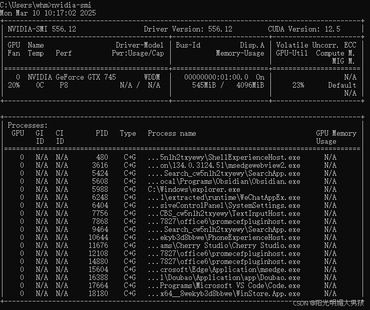 NVIDIA GPU 的状态信息输出，由 `nvidia-smi` 命令生成_nvidia-smi显示p8-CSDN博客