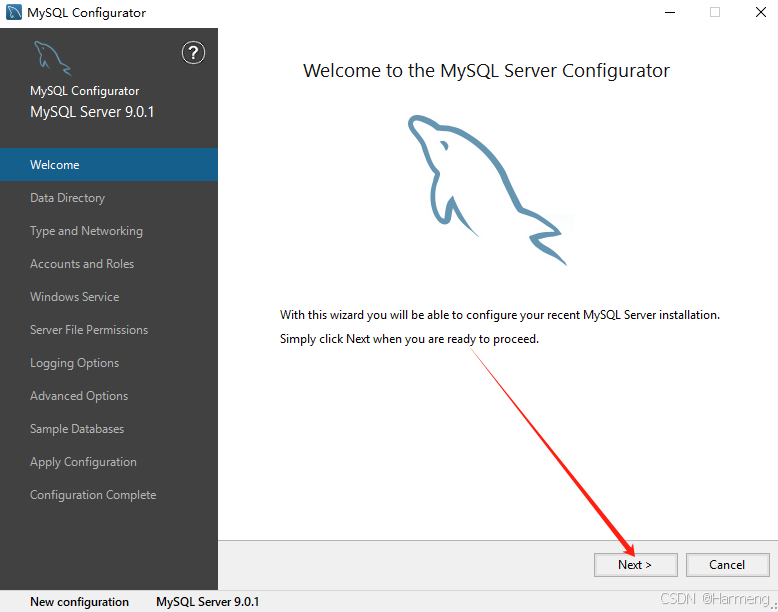 MySQL在Windows中安装与配置（9.0版详细教程）_mysql9.0安装教程详细步骤-CSDN博客