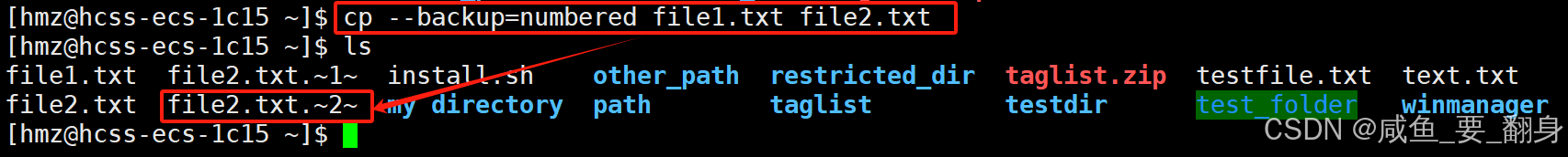 Linux基本命令篇 —— cp命令_linux cp-CSDN博客