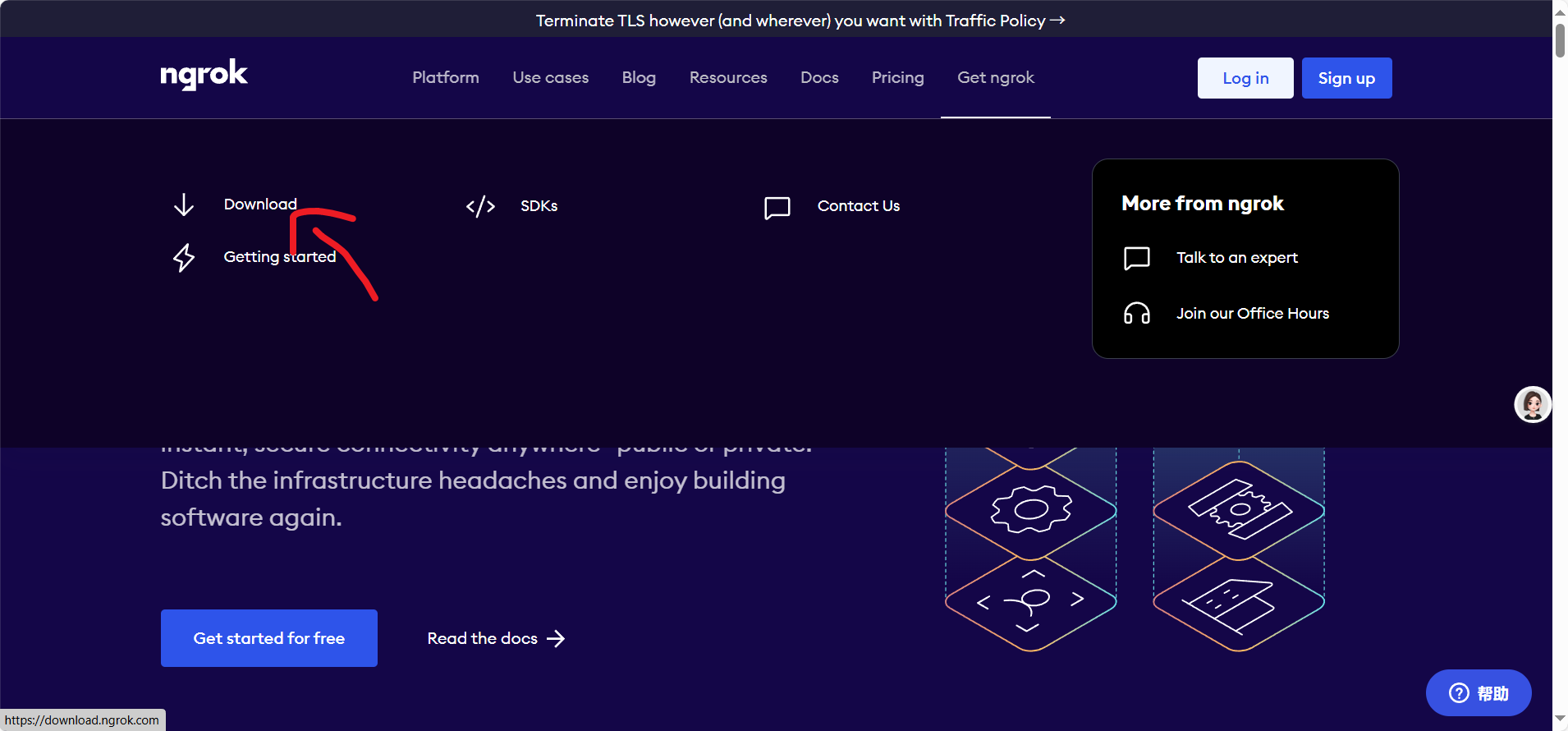 Ngrok内网穿透教程-CSDN博客
