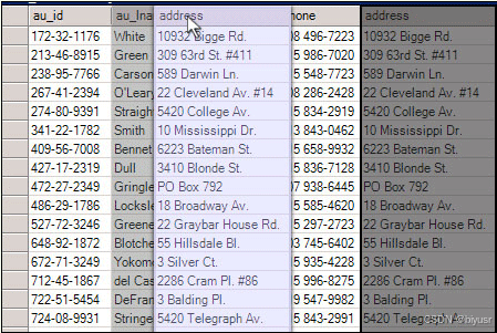 拖放 DataGrid 列-CSDN博客