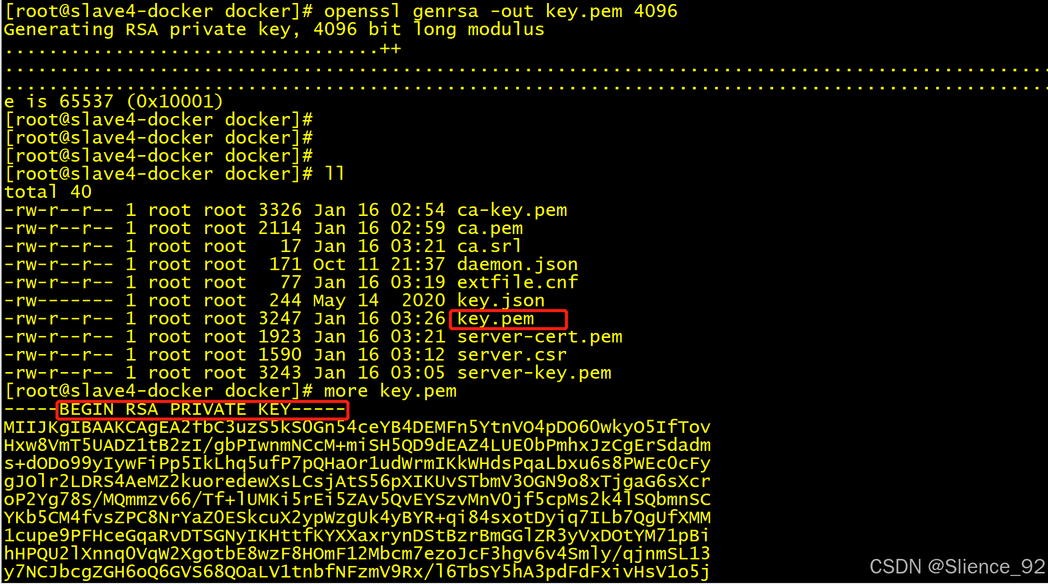 Docker_CA认证原理及配置_docker ca-CSDN博客